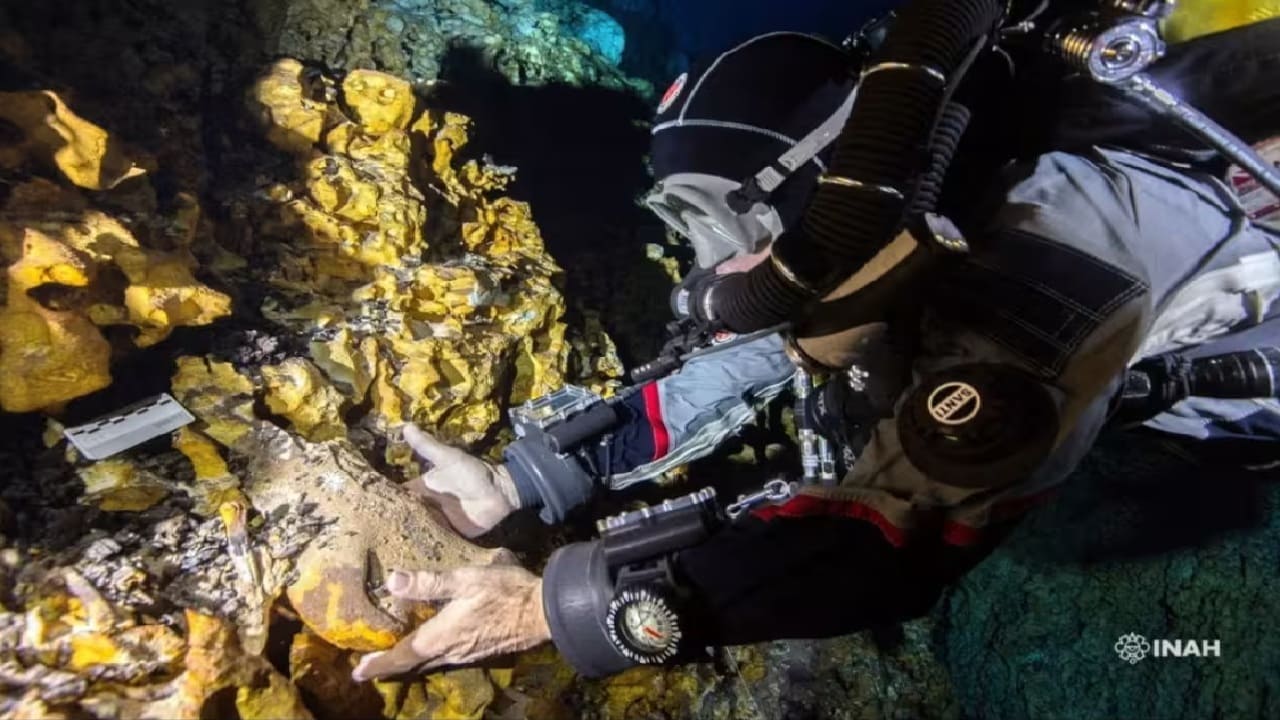 INAH files legal complaint for diver damage to underwater ...