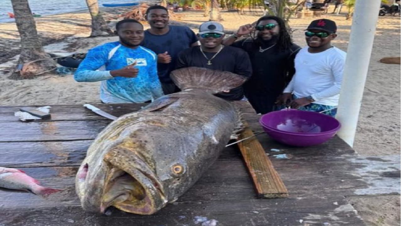 Group of Belize fishermen boast 177 kilo goliath grouper catch ...