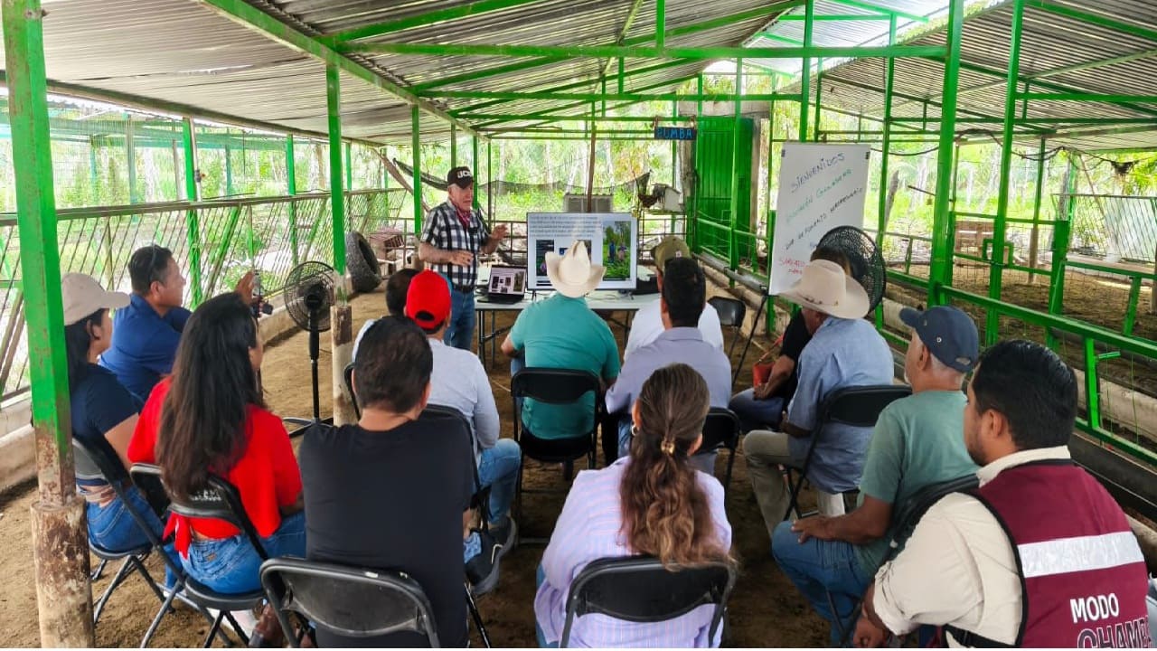 State's agriculture sector meets to promote sustainable alternatives ...